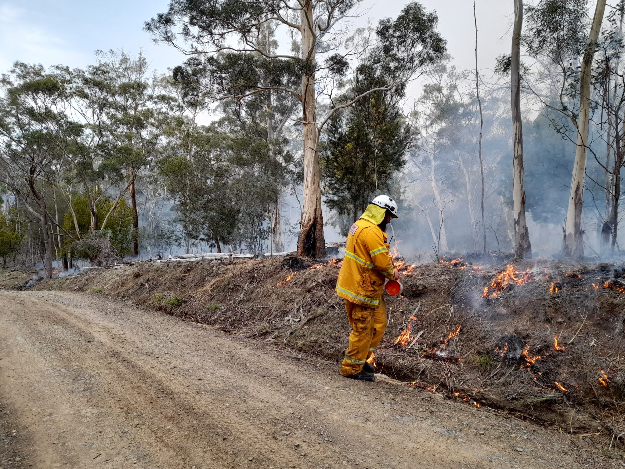 Bushfire Mitigation - What we do | Glenorchy City Council